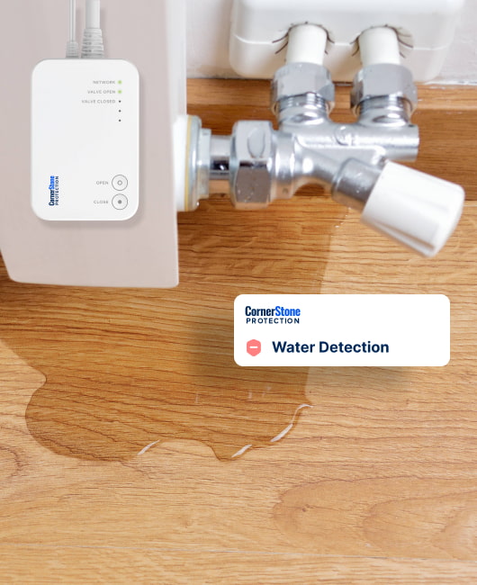 Flood Detection & Water Alarm Sensor | CornerStone Protection
